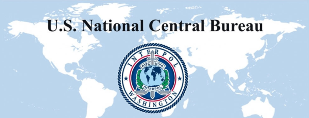 La Organización Internacional de Policía Criminal en el Sudeste ...